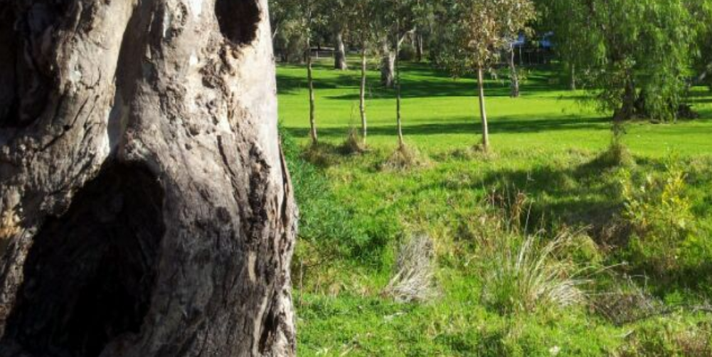 Church Camp | Trinity Church Campbelltown